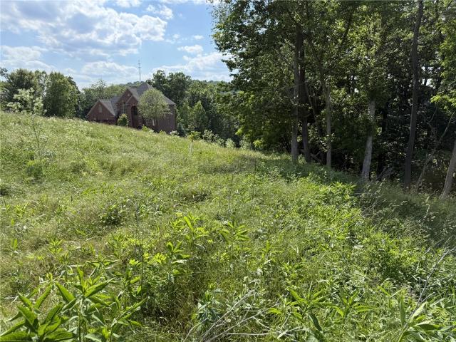 Lots 206 and 208 Old Woods Drive