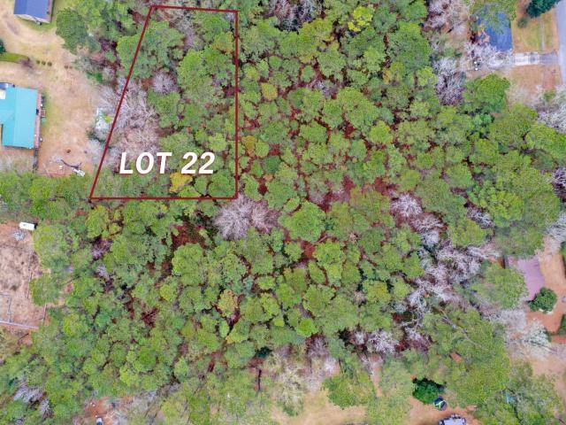 Lots 21&22 Gadsden Loop