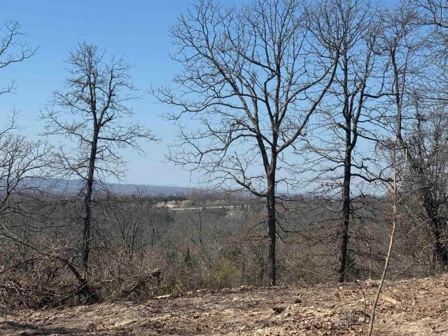 Lots 23 & 24 oak summit drive