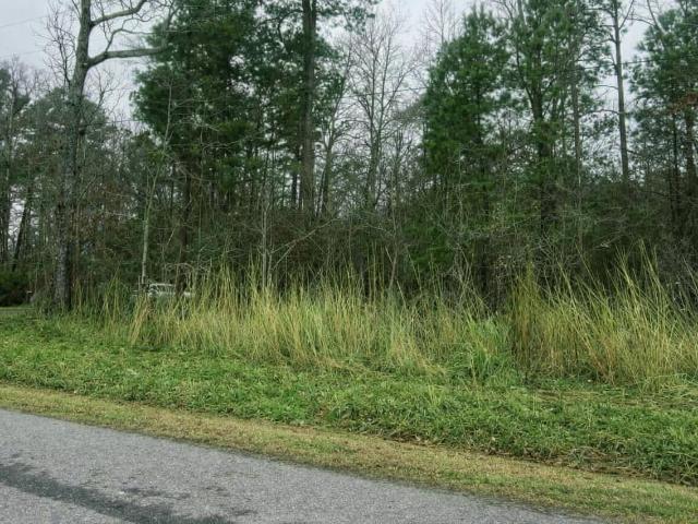 Lots 35 36 Choctaw Trail # 35 & 36