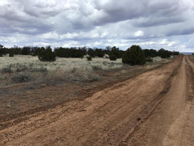 Lots 38 39 Country Lane