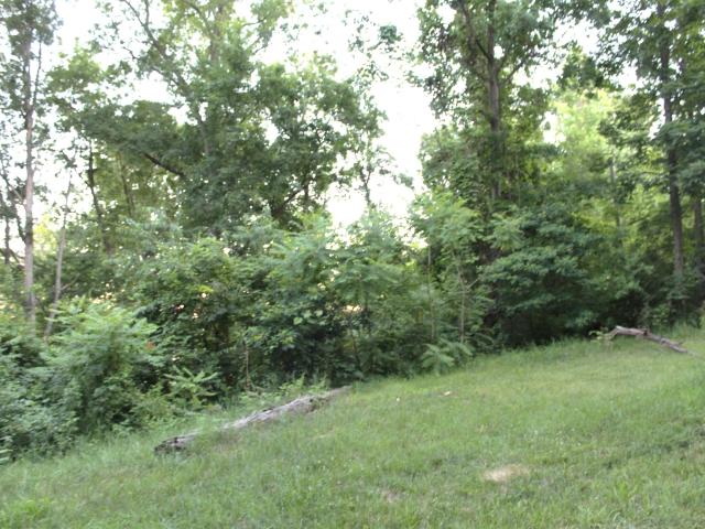 Lots 396 & 397 LN 415 A Jimmerson Lake