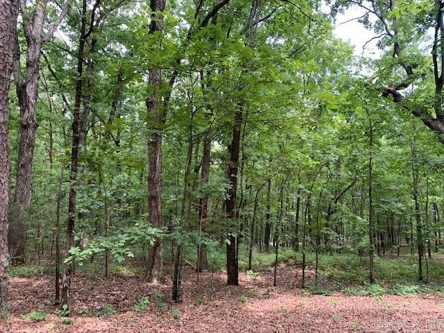 Lots 44 & 45 Lakeview Drive