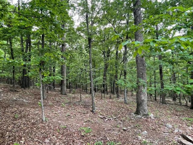 LOTS 47 48 49 Bristol Court