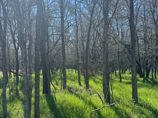 Lots 499 and 500 Kaaawa Ln