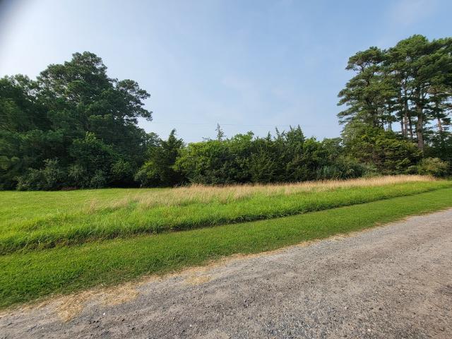 LOTS 41A Henrys Point Ln
