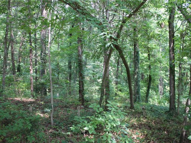 Lots 42 & 43 Craigwood Circle