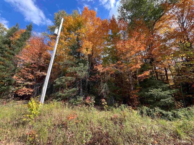 LOTS 59, 60, 61 Maple Drive