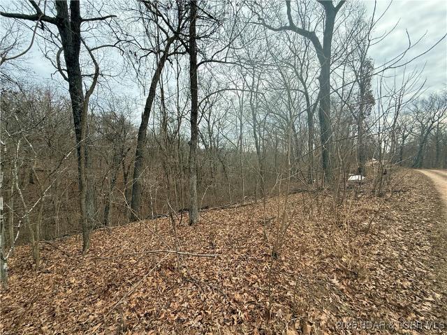 Lots 5 10 Ozark View Ln