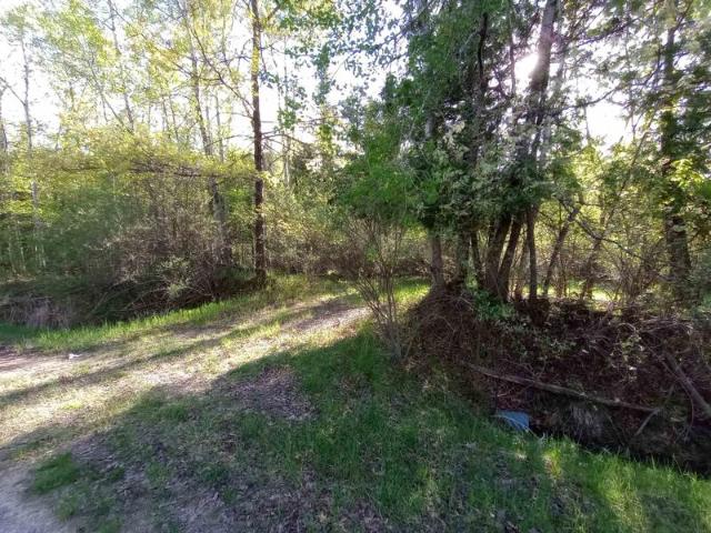 Lots 6 7 Brassie, Gladwin, MI 48624