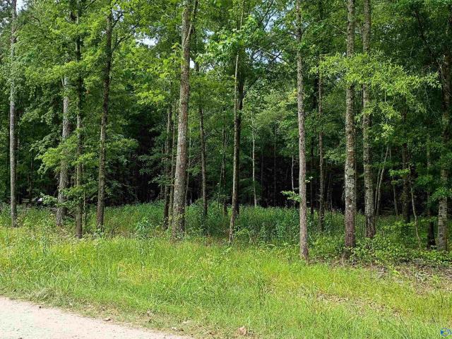 Lots 6 8 County Road 450