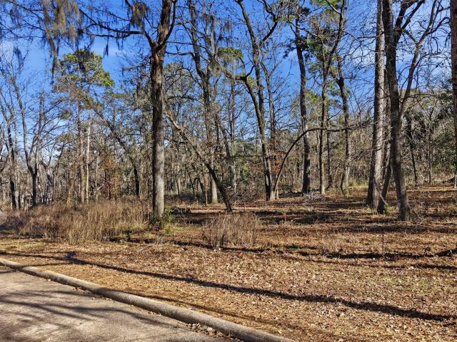 Lots 81, 82, & 83 Lake Oaks Circle