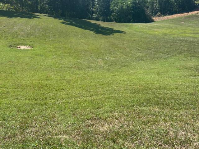 LOTS 8 9 Lakepointe Drive