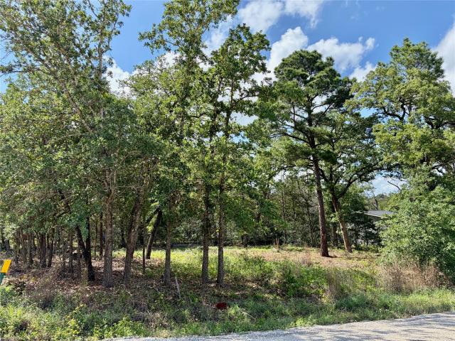 Lots 95/96 Shawnee Dr