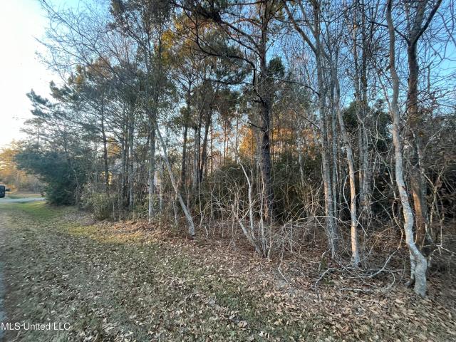 Lots 9 11 Pecan Ridge Drive
