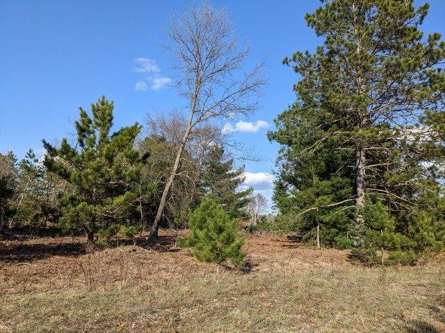 Louhi St, Kaleva, MI 49645