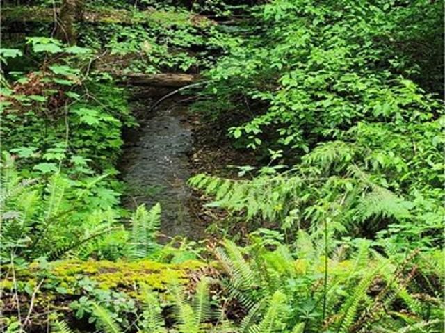 Louis Creek Rd, Myrtle Creek, OR 97457