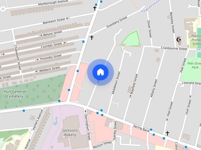 Louis Street, Hull, HU3