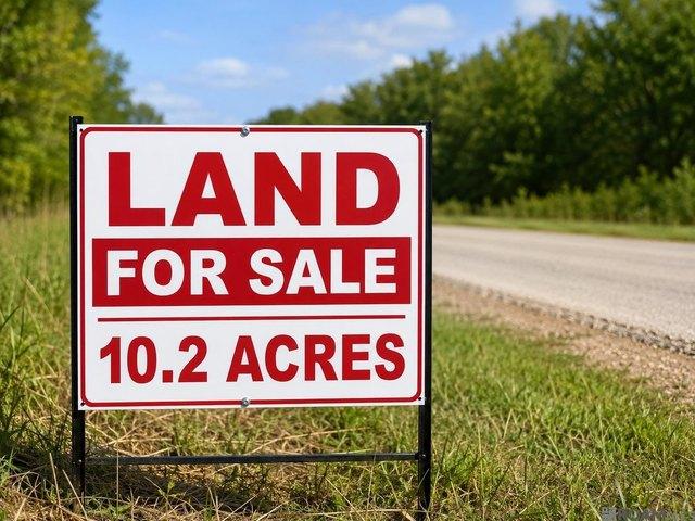 Louise St, Livingston, LA 70726