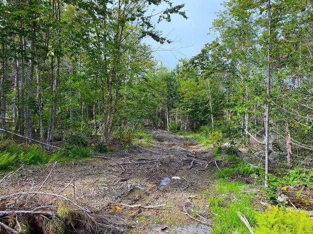 Love Lake Rd Lot 128C, Crawford, ME 04694