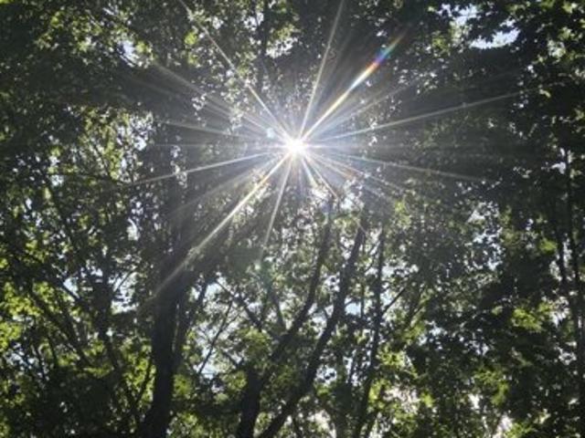 Lovejoy Shores Dr, Fayette, Plot For Sale
