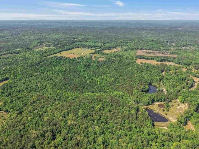 Lovelady Ln Lot 1, Lawley, AL 36793