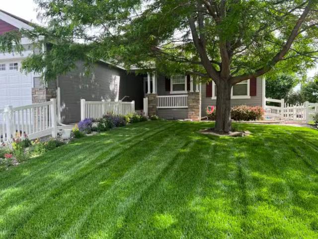Loveland Colorado Home for Rent 1532 Warbler St