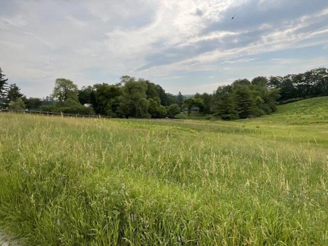 Loveland Rd, Norwich, Plot For Sale