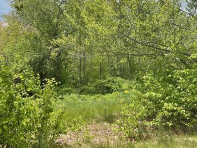 Lovell Rd, Stratham, Plot For Sale