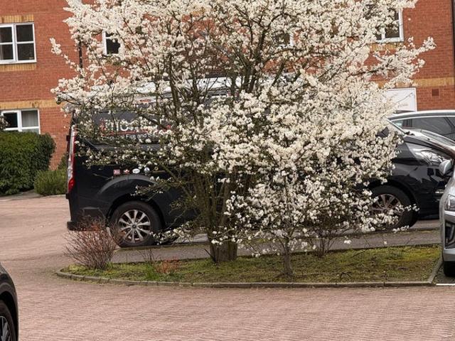 Lovely and furnished 2 bed apartment,incoming pics