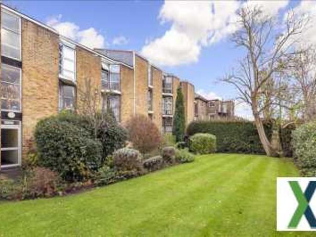 Lovely large Studio Apartment in Leafy Chiswick close to Gunnersbury Station