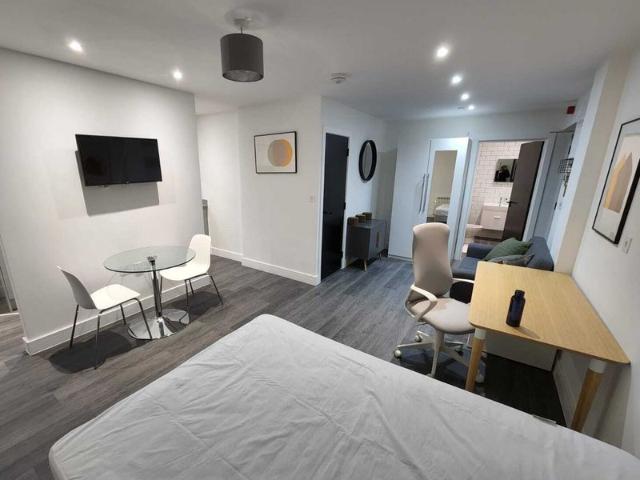 Lovely Modern STUDIO