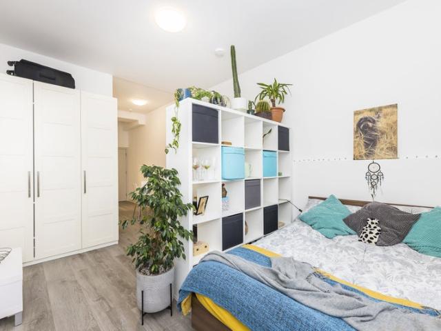 Lovely Modern Studio,Zone 2, Willesden Junction
