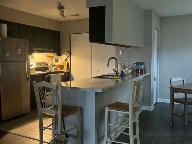 Lovely room in Carrboro for interim rent