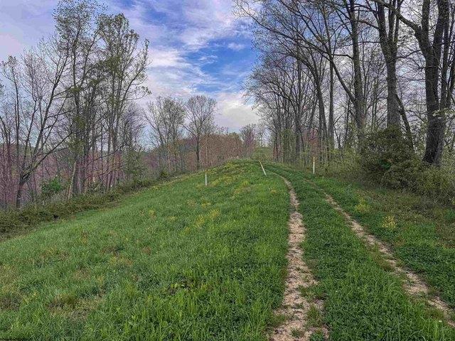 Low Gap Run Rd Lot 1, Littleton, WV 26581