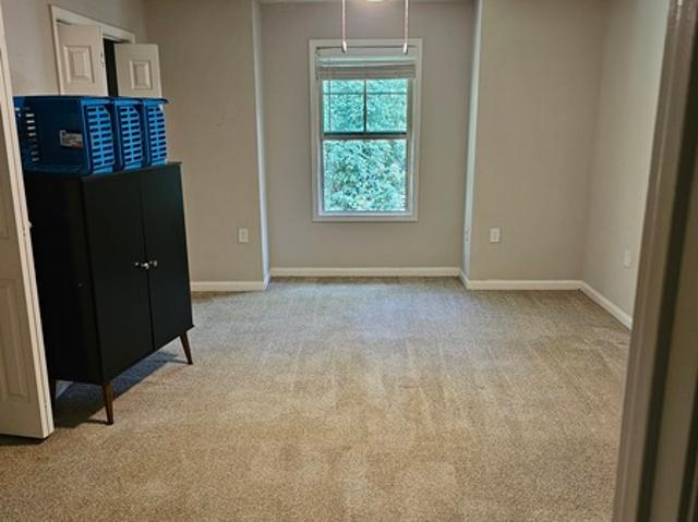 Low key, drama free apt share