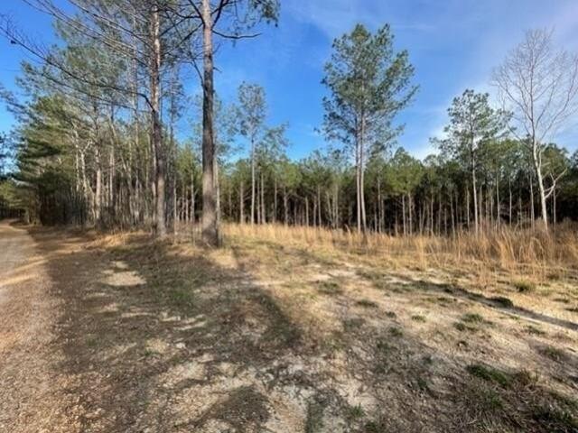 Low Water Ln Sw, Brookhaven, Plot For Sale