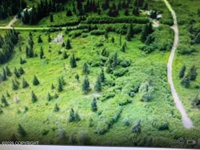 Lowell St Lot 69, Ninilchik, AK 99639