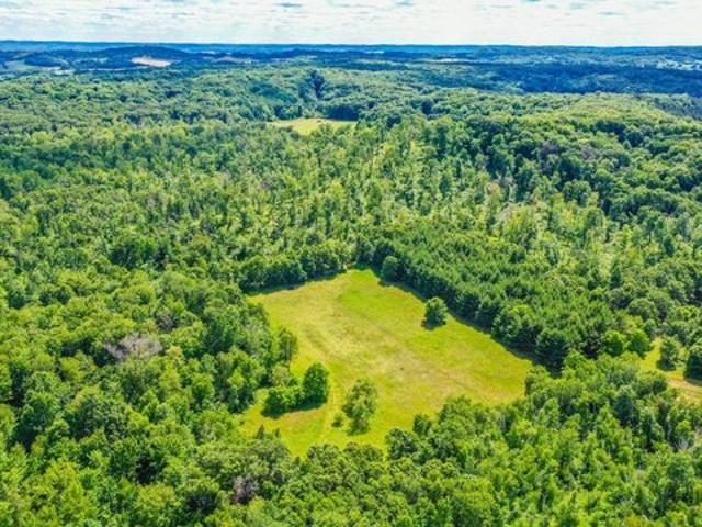 Lowes Creek Rd, Eleva, WI 54738
