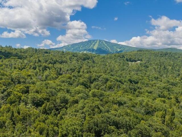 Lower Taylor Hill Rd, Winhall, Plot For Sale