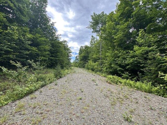 Lower Vose Rd, Kingfield, Plot For Sale