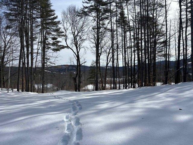 Lower Waterford Rd, Waterford, VT 05848