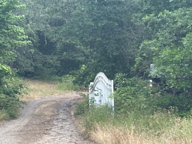 Lower Wolf Creek Rd