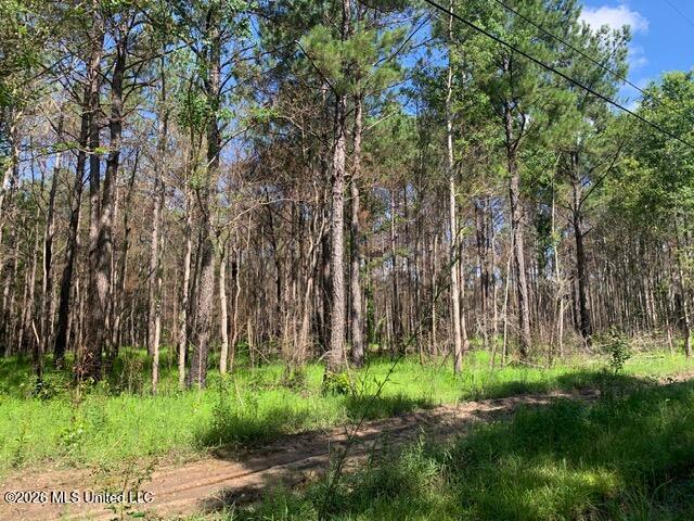 Lower Bay Road, Bay Saint Louis, MS 39520