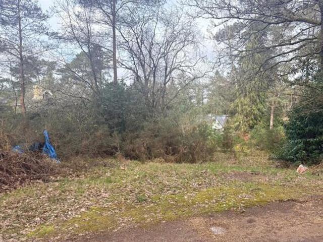 Lower Bourne, Frensham Road, Farnham, Plot For Sale