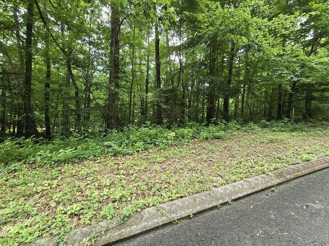 Lower Brow Rd Lot 134, Dunlap, TN 37327