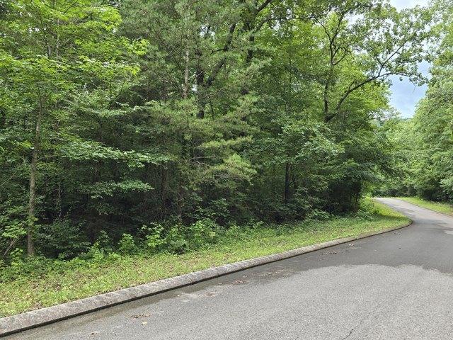 Lower Brow Rd Lot 135, Dunlap, TN 37327
