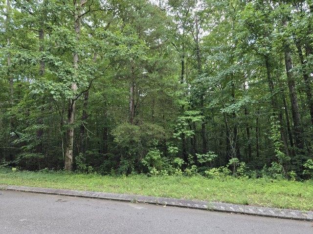 Lower Brow Rd Lot 144, Dunlap, TN 37327