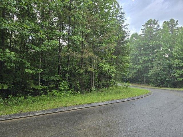 Lower Brow Rd Lot 156, Dunlap, TN 37327