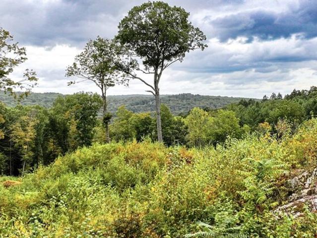 Lower Church Hill Rd, Washington, Plot For Sale